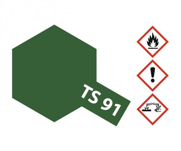 TS-91 JGSDF Dark Green / Dunkelgrün, matt - 100ml Spray